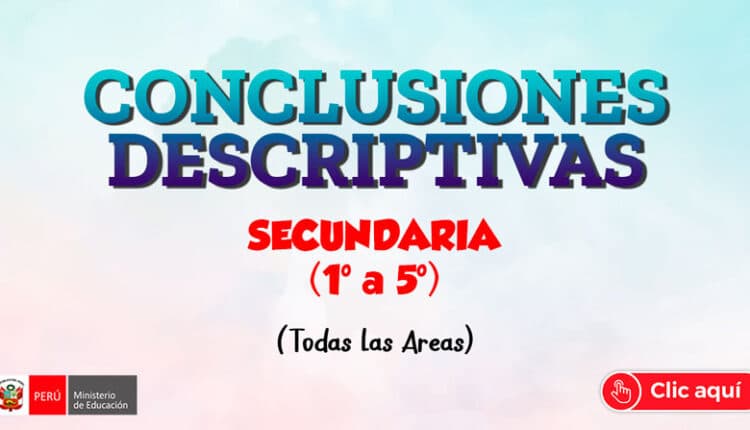 Conclusiones Descriptivas para todas las Áreas Curriculares para el año 2025 (Ejemplos ...